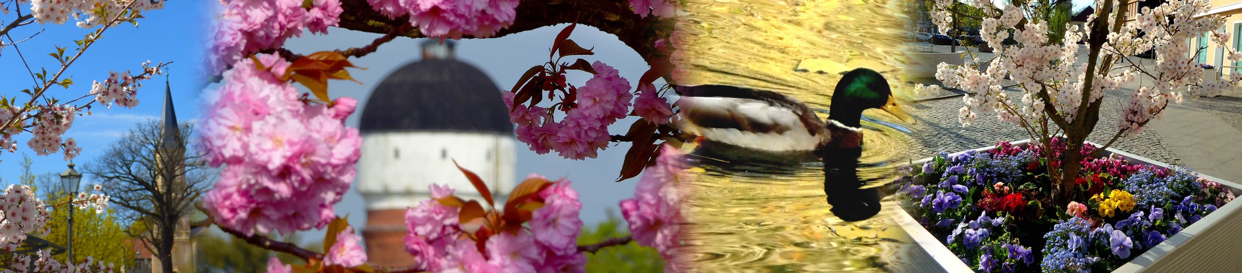 Stadt Zossen: Startseite